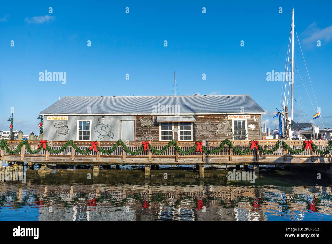 Christmas garland and coastal sea creature lighted figures adorn an old ...
