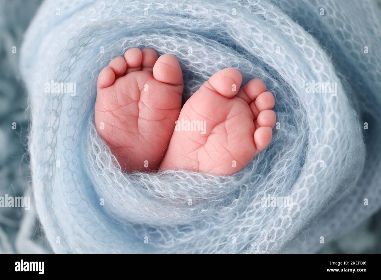 Soft feet of a newborn in a blue woolen blanket. Close-up of toes ...