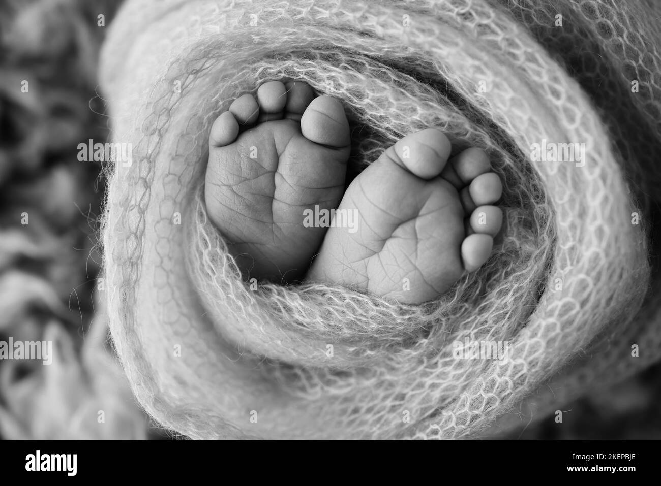 Soft feet of a newborn in a blanket Close-up of toes, heels and feet of ...