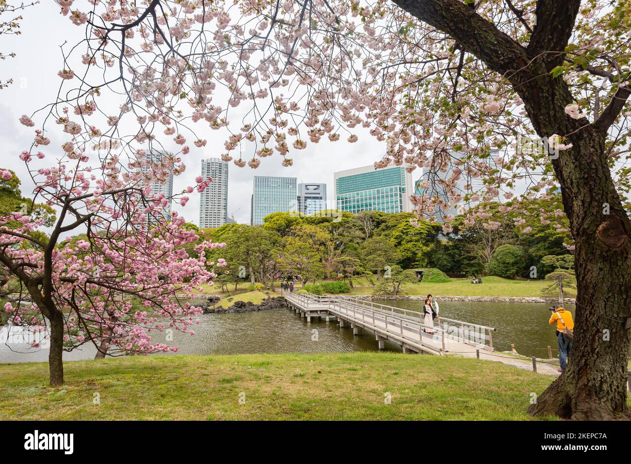 Hamarikyu gardens tokyo hanami hi-res stock photography and images - Alamy