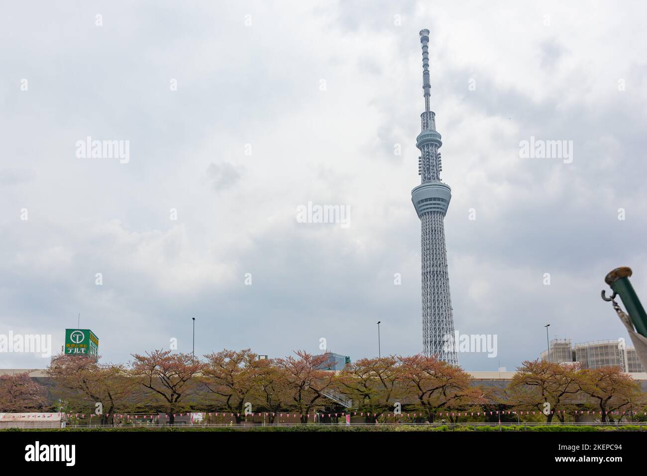 Tokyo, APR 6 2013 - Overcast view of the cityscape and Tokyo Skytree ...