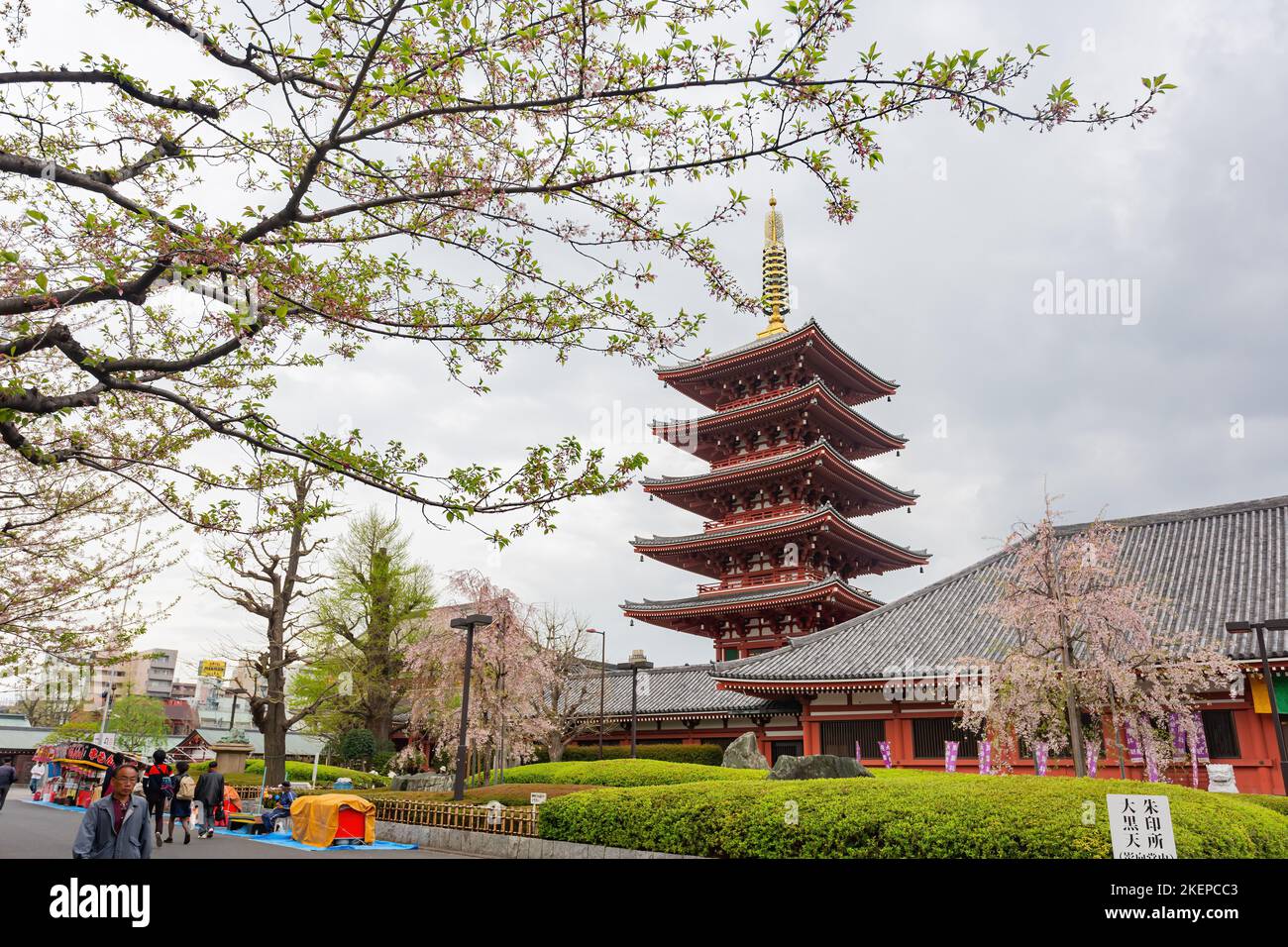 Tokyo, APR 6 2013 - Overcast view of the Five-Storied Pagoda Stock ...