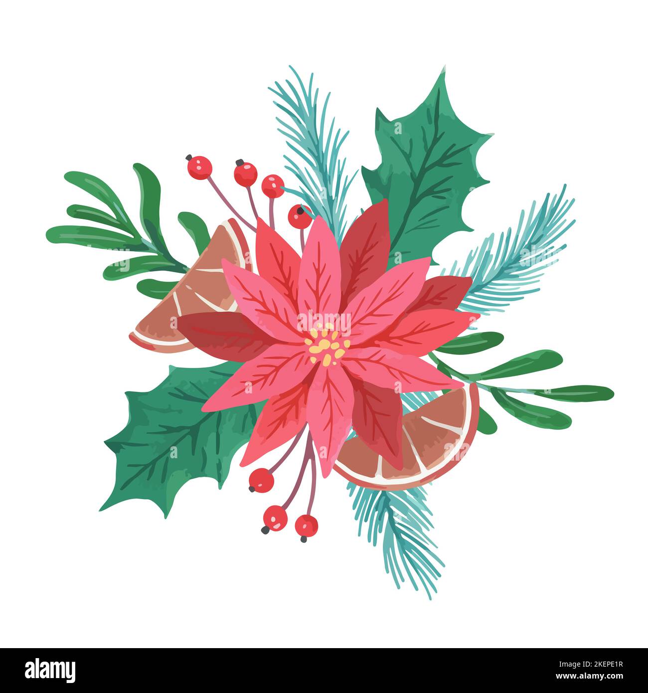 Christmas plants and berries, poinsettia, holly and mistletoe ...