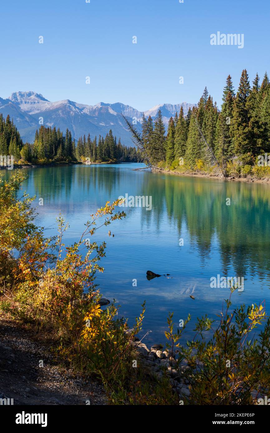 bend in a river inside of Banff National Park Stock Photo - Alamy