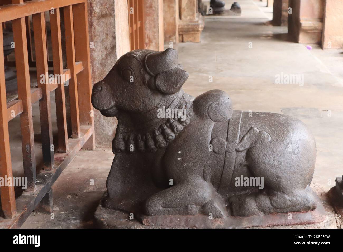 Black nandi hi-res stock photography and images - Alamy