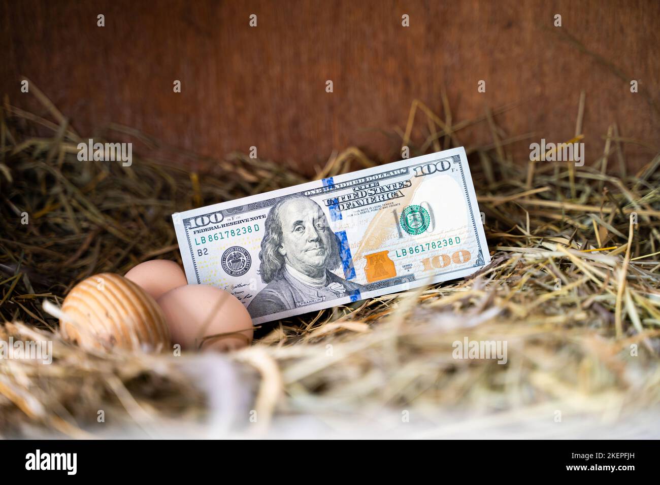 The rise in price of eggs.A hundred dollar bill lies in a nest with ...