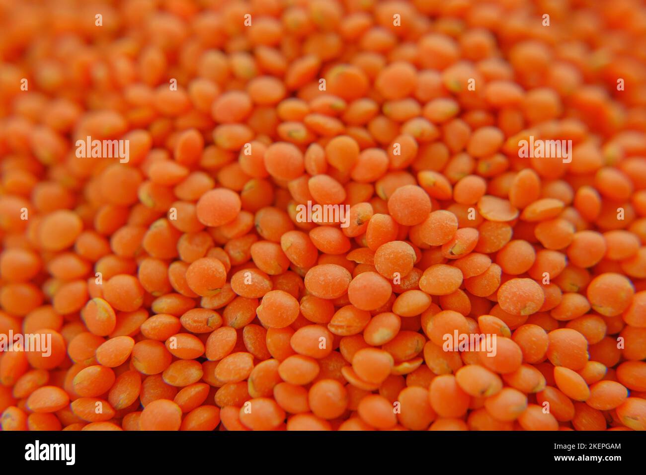 orange lentil grits.lentil groats background.Cereals and legumes ...