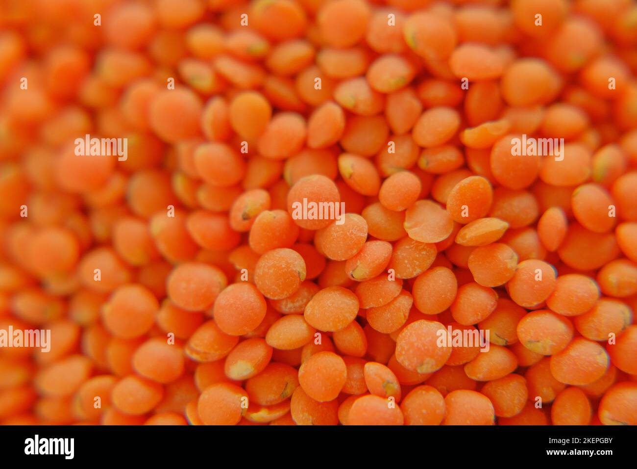 orange lentil grits.lentil groats background.Cereals and legumes.bean ...