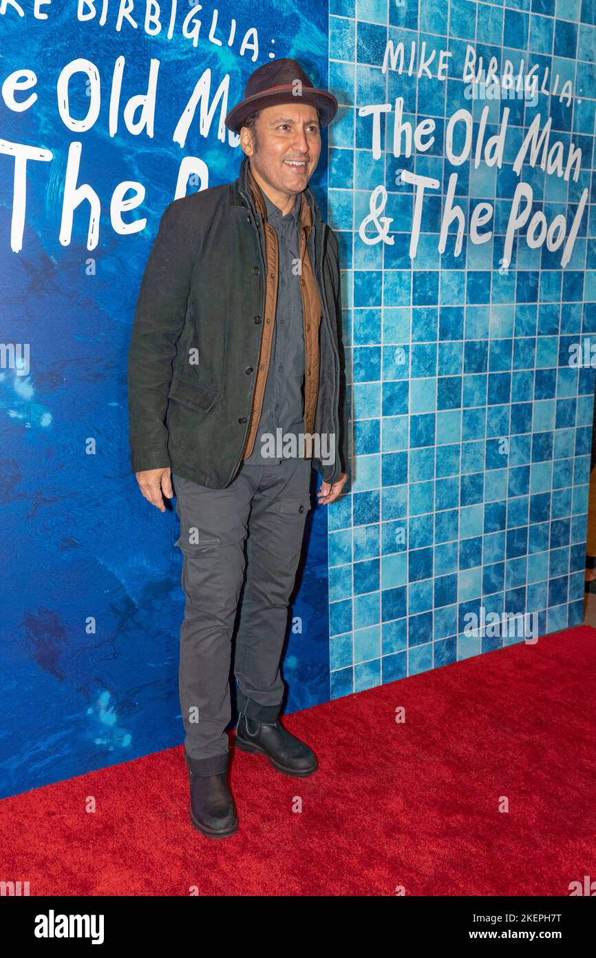 NEW YORK, NEW YORK - NOVEMBER 13: Aasif Mandvi attends "The Old Man ...
