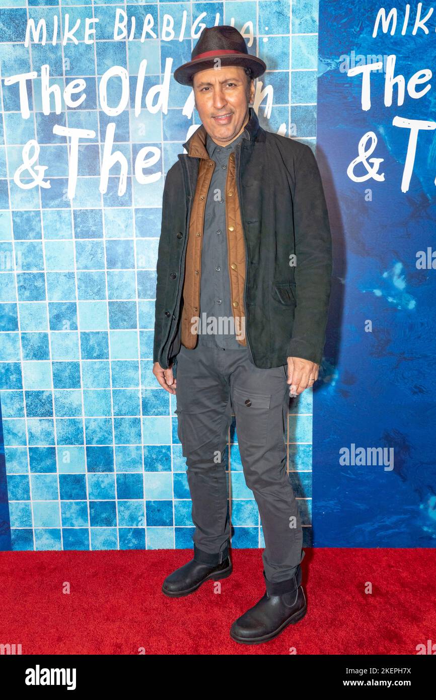 NEW YORK, NEW YORK - NOVEMBER 13: Aasif Mandvi attends "The Old Man ...