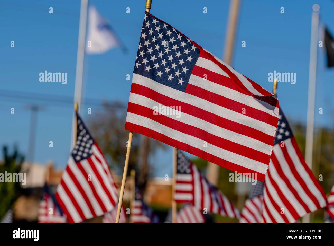 Harrisburg, NC, USA. 13th Nov, 2022. A group of American flags wave in ...