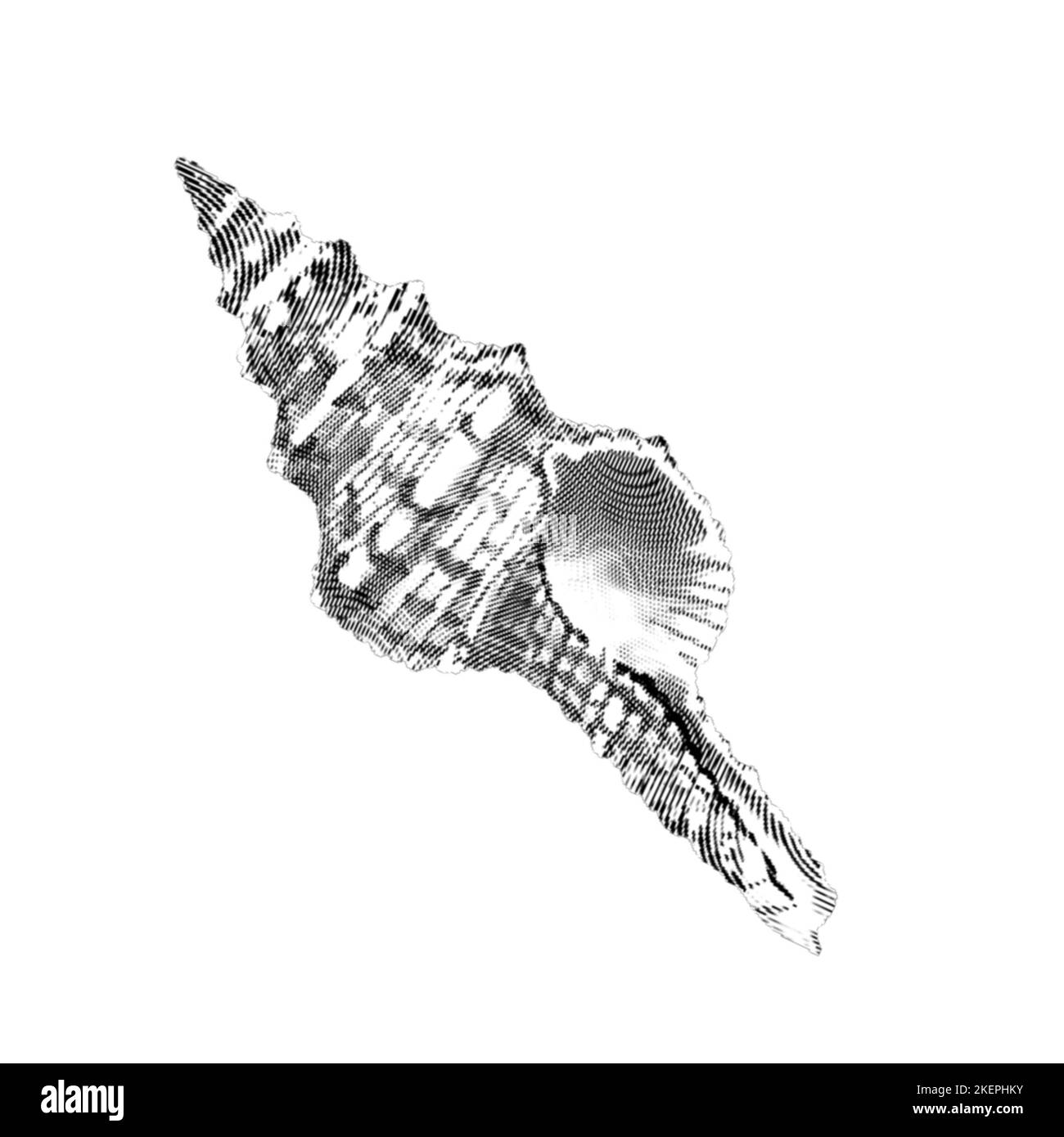 Graphic engraving Black and White Stock Photos & Images - Alamy