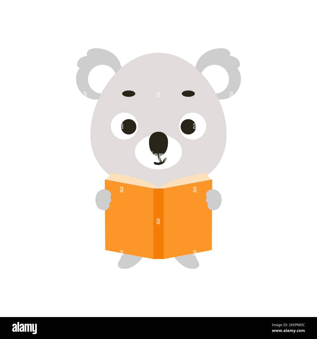 Cute little koala reading book on white background. Cartoon animal ...