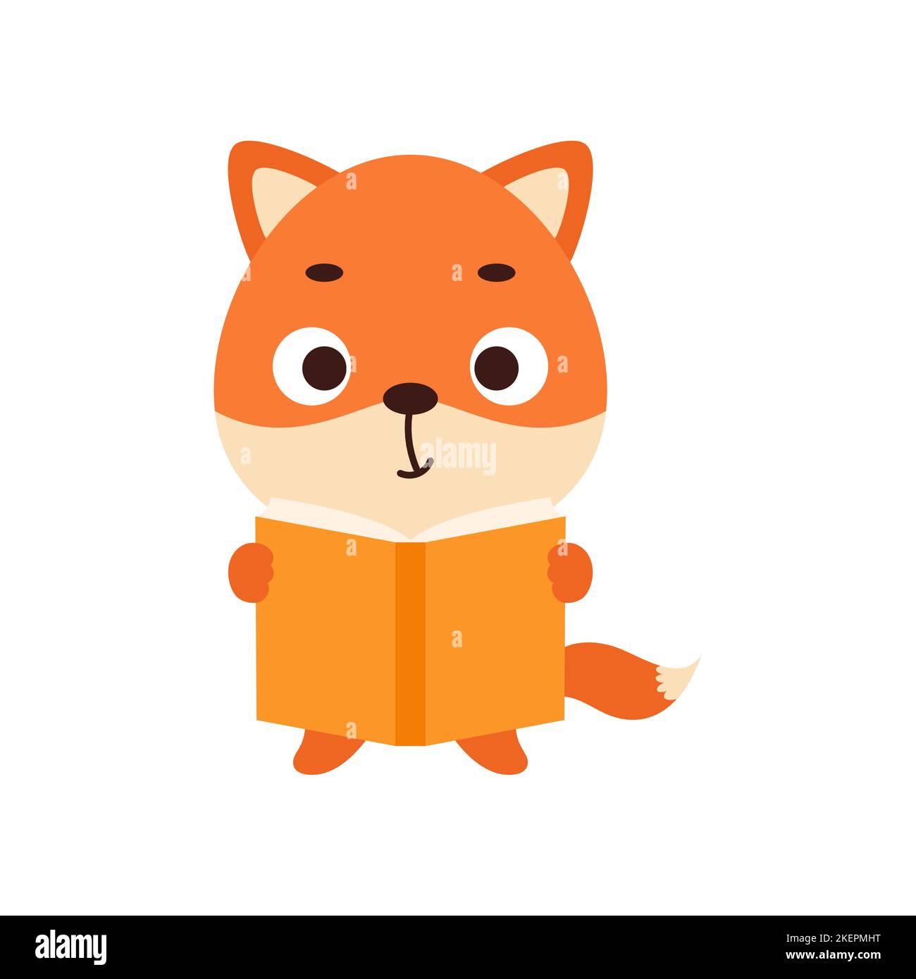 Cute little fox reads book on white background. Cartoon animal ...