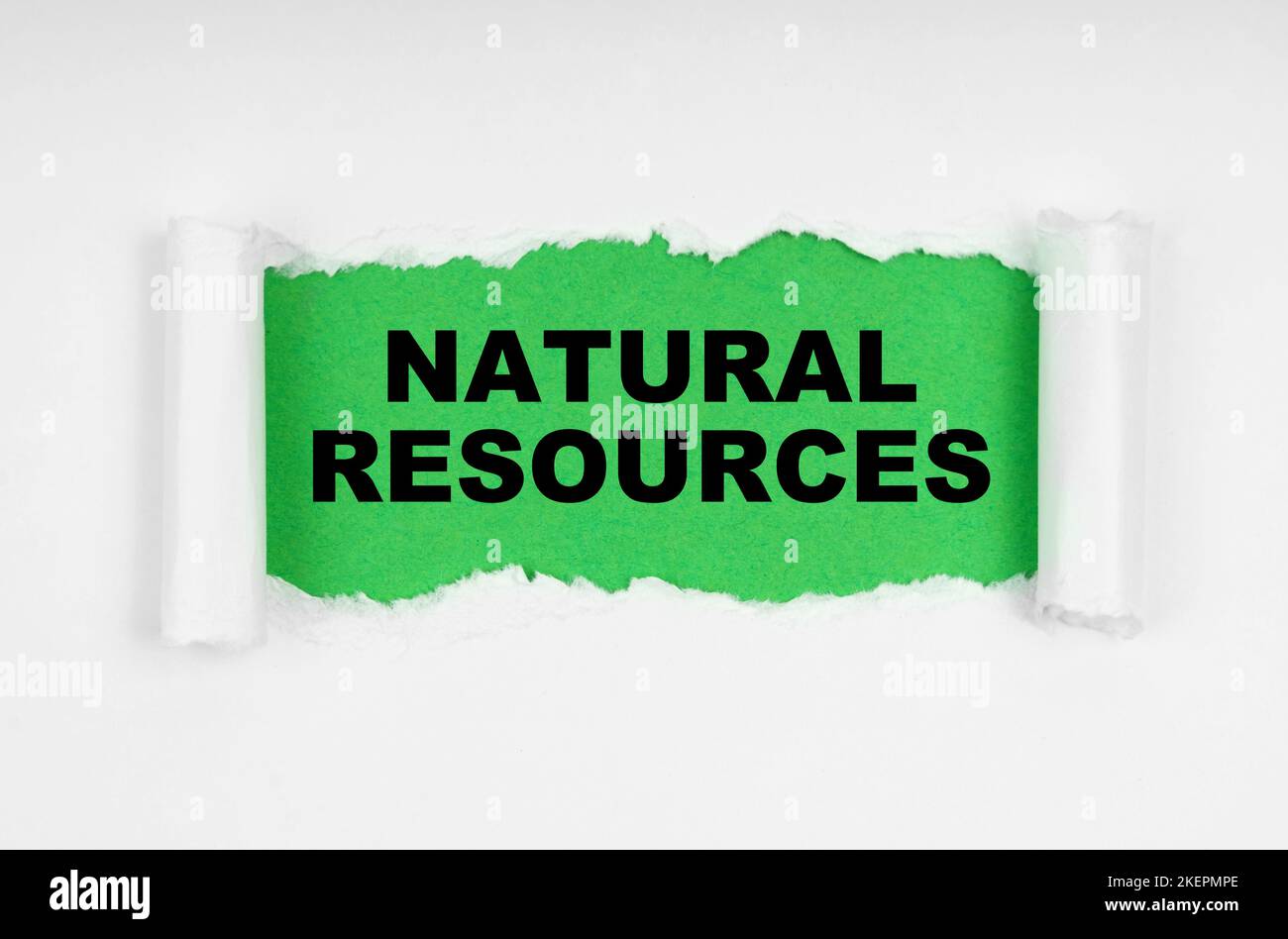 Environmental concept. In the middle of the white sheet, the paper is ...