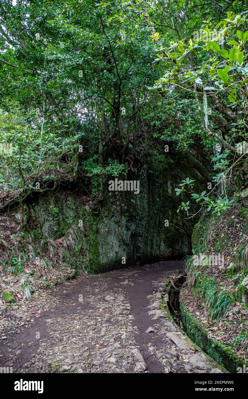 Madeira island in autumn Stock Photo - Alamy