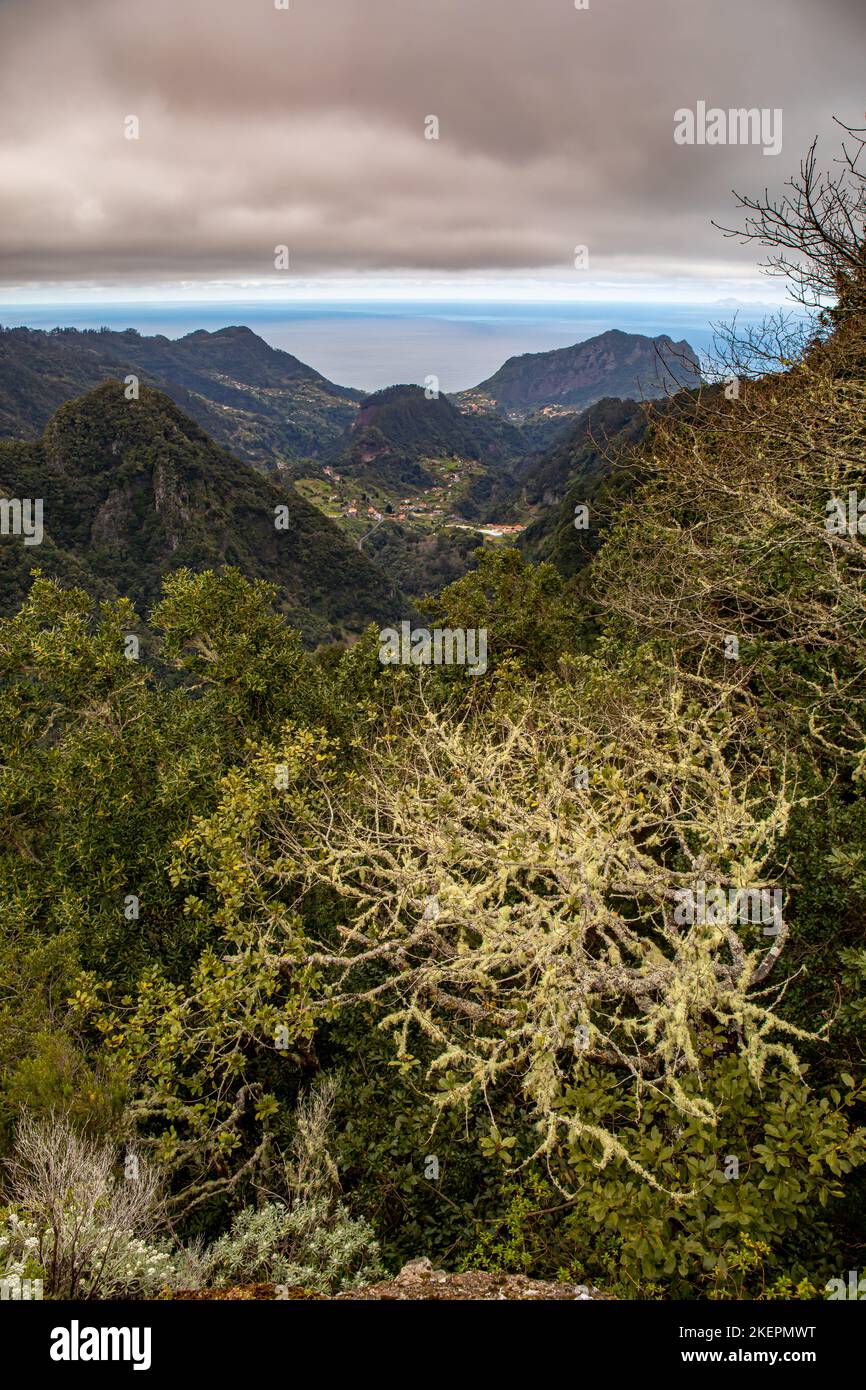 Madeira island in autumn Stock Photo - Alamy