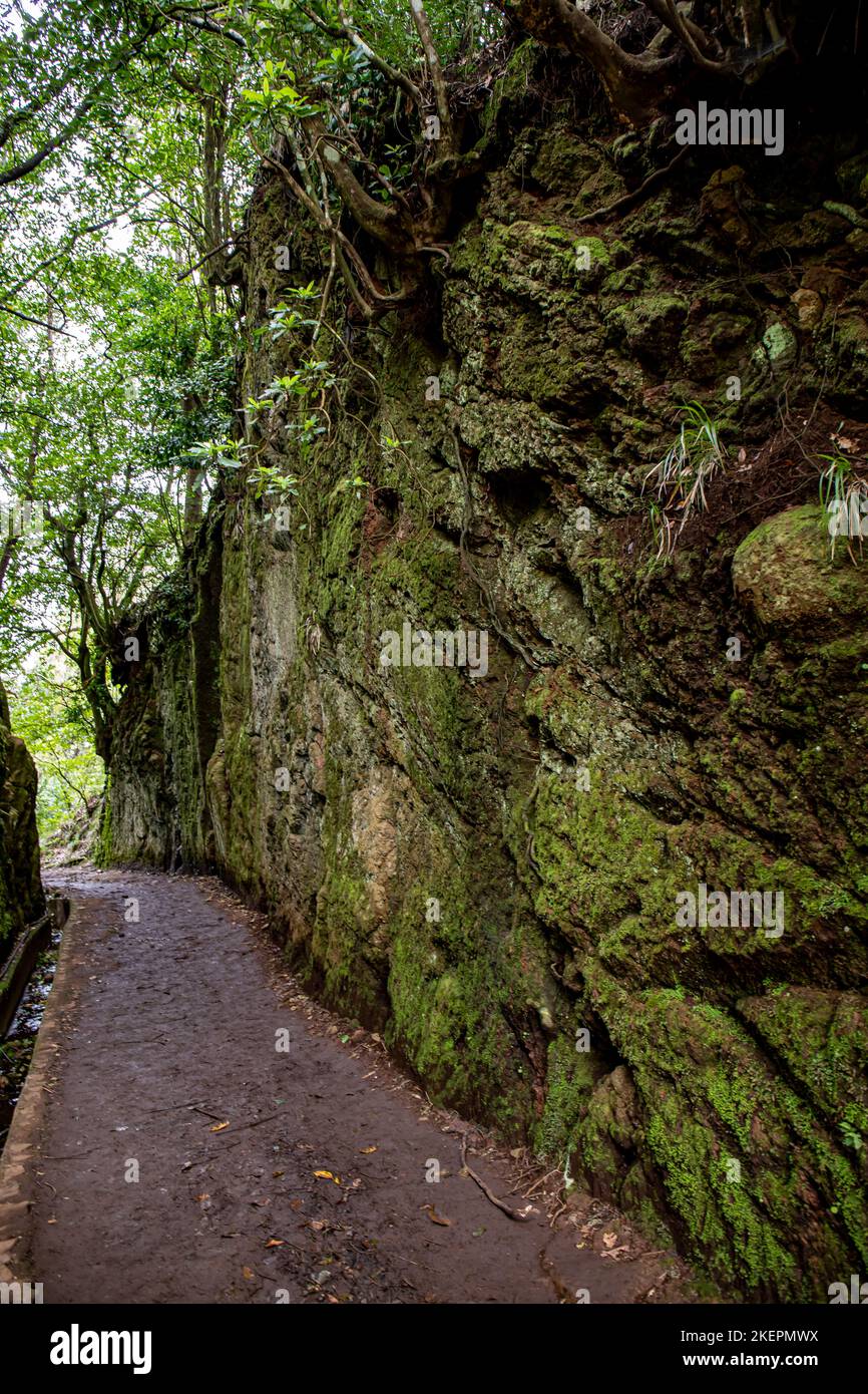 Madeira island in autumn Stock Photo - Alamy