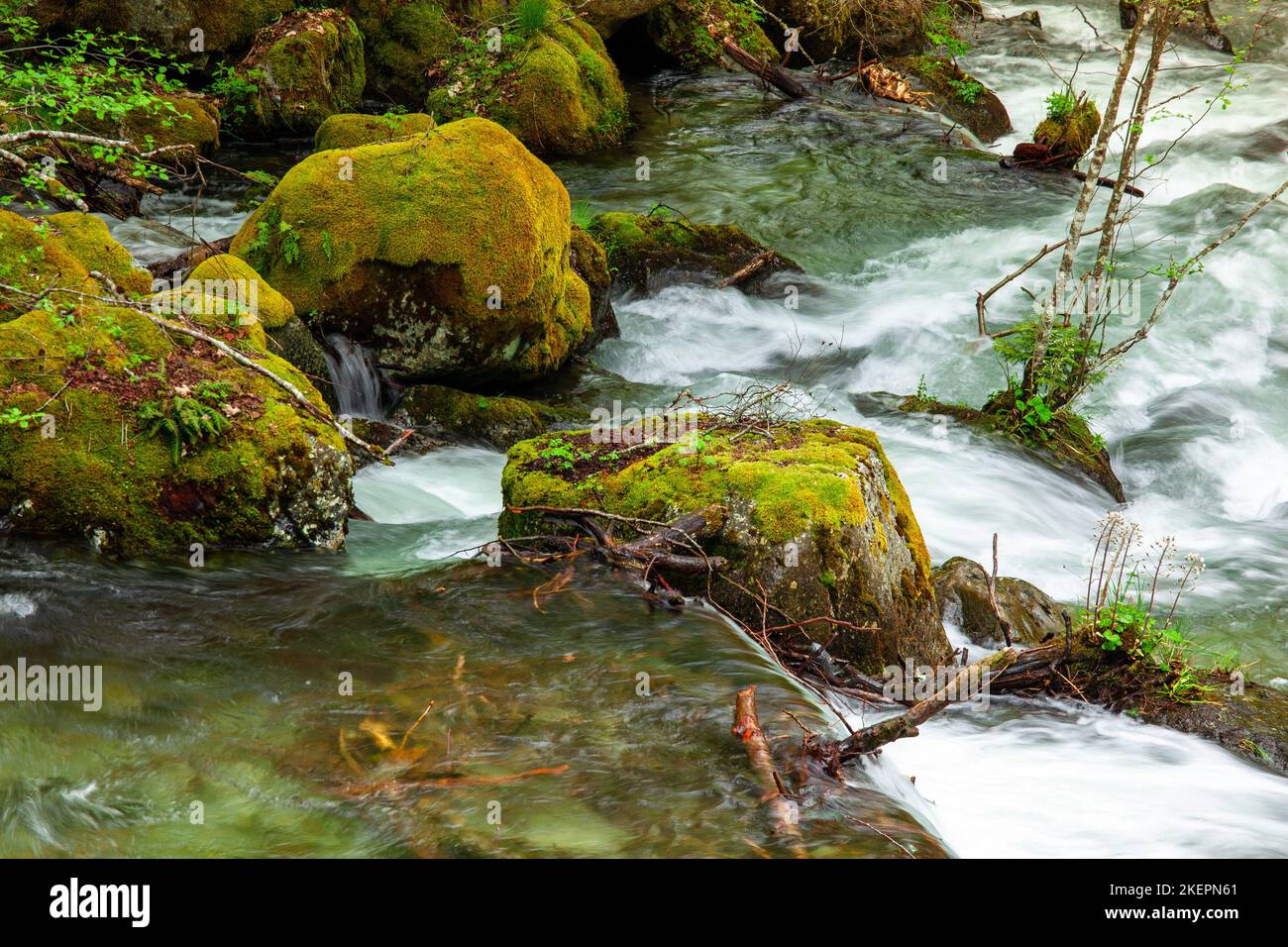 river in mountains, wonderful springtime scenery Stock Photo - Alamy