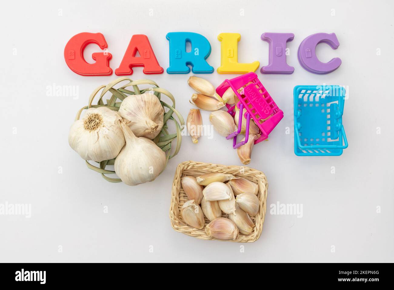 Garlic bulbs and cloves isolated on white background. Garlic word ...
