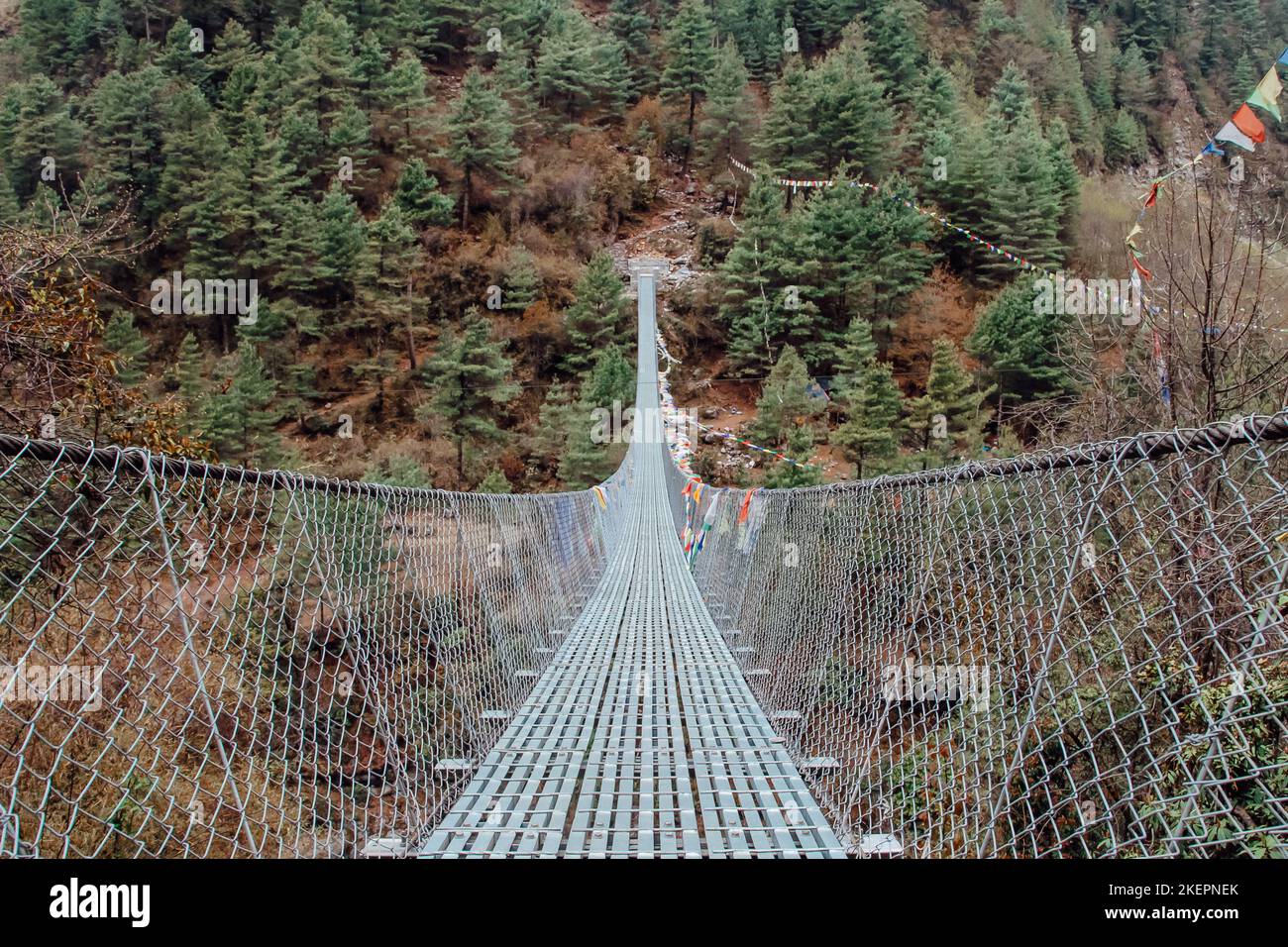 TTrekker crossing metal suspension bridge in Nepal, Himalayas Stock ...
