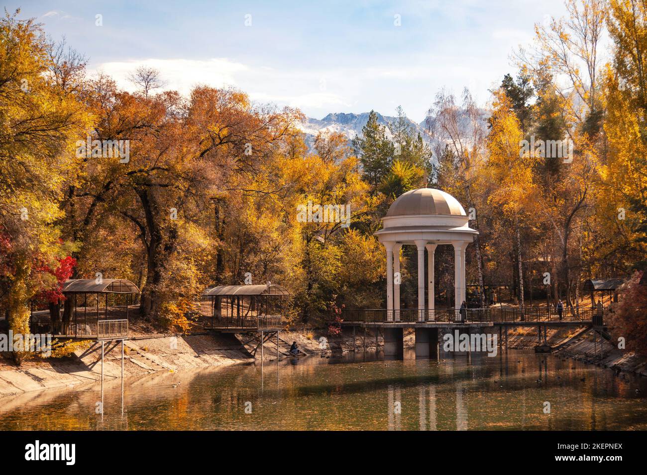 White rotunda in beautiful autumn park amidagainst the background of ...