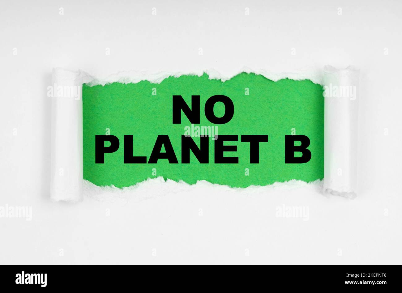 Environmental concept. In the middle of the white sheet, the paper is ...