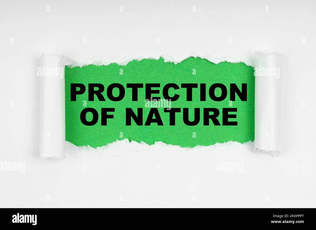 Environmental concept. In the middle of the white sheet, the paper is ...