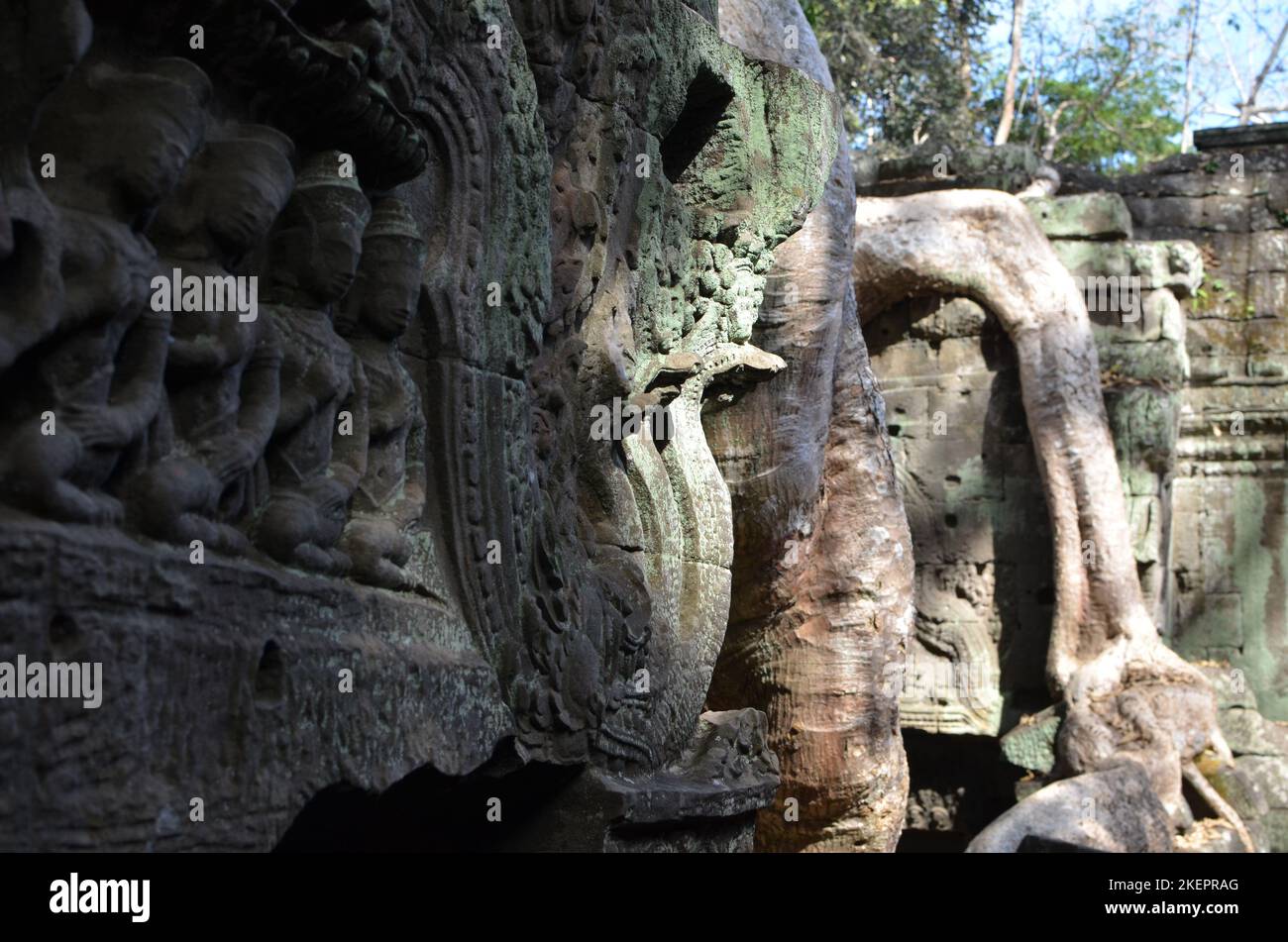 Angkor Wat Cambodia ruin historic khmer temple Tree Roots lost Culture ...
