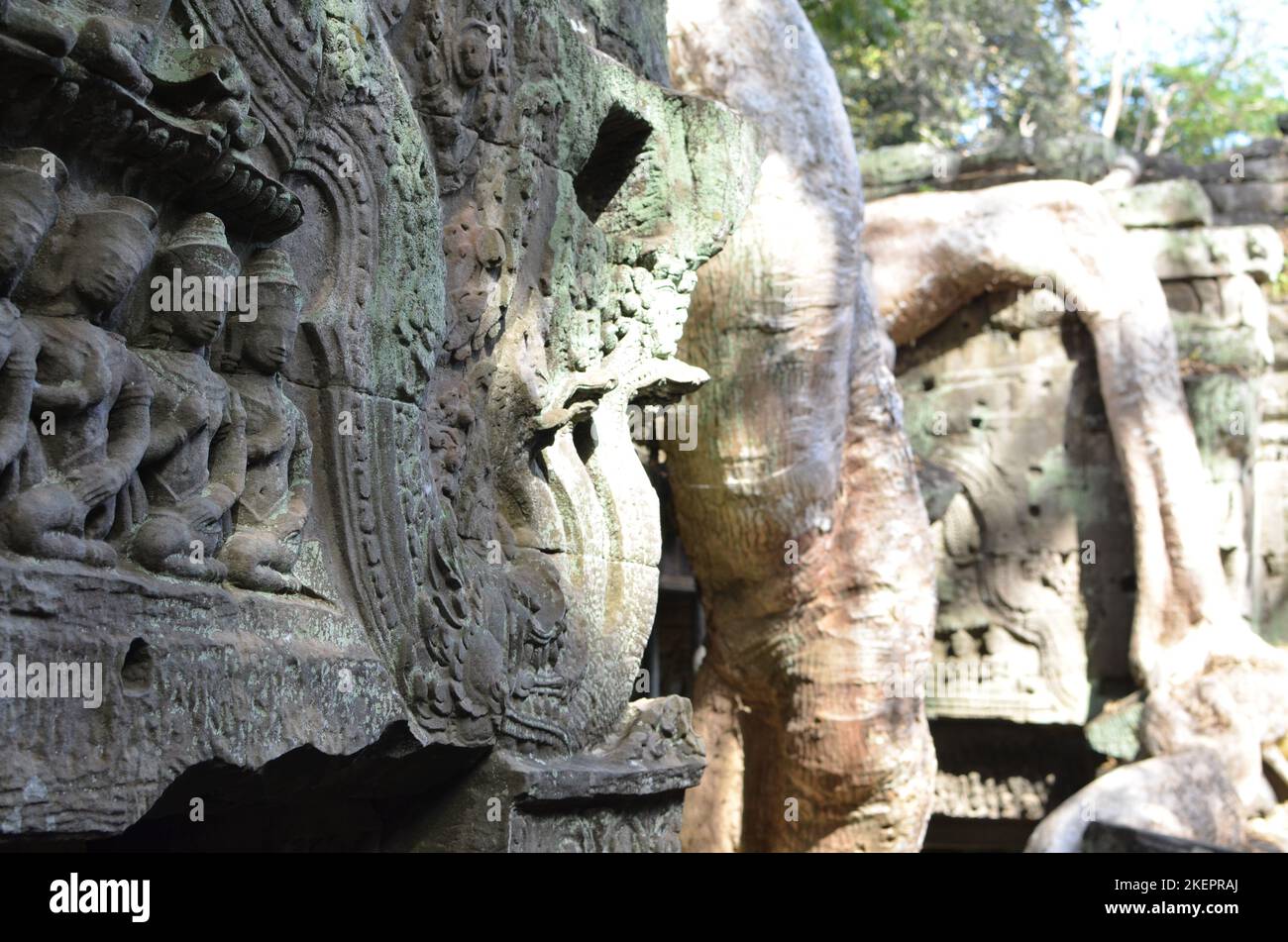 Angkor Wat Cambodia ruin historic khmer temple Tree Roots lost Culture ...