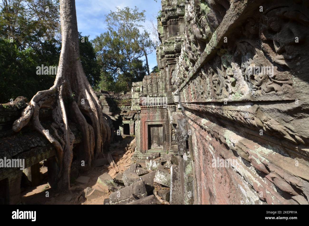 Angkor Wat Cambodia ruin historic khmer temple Tree Roots lost Culture ...