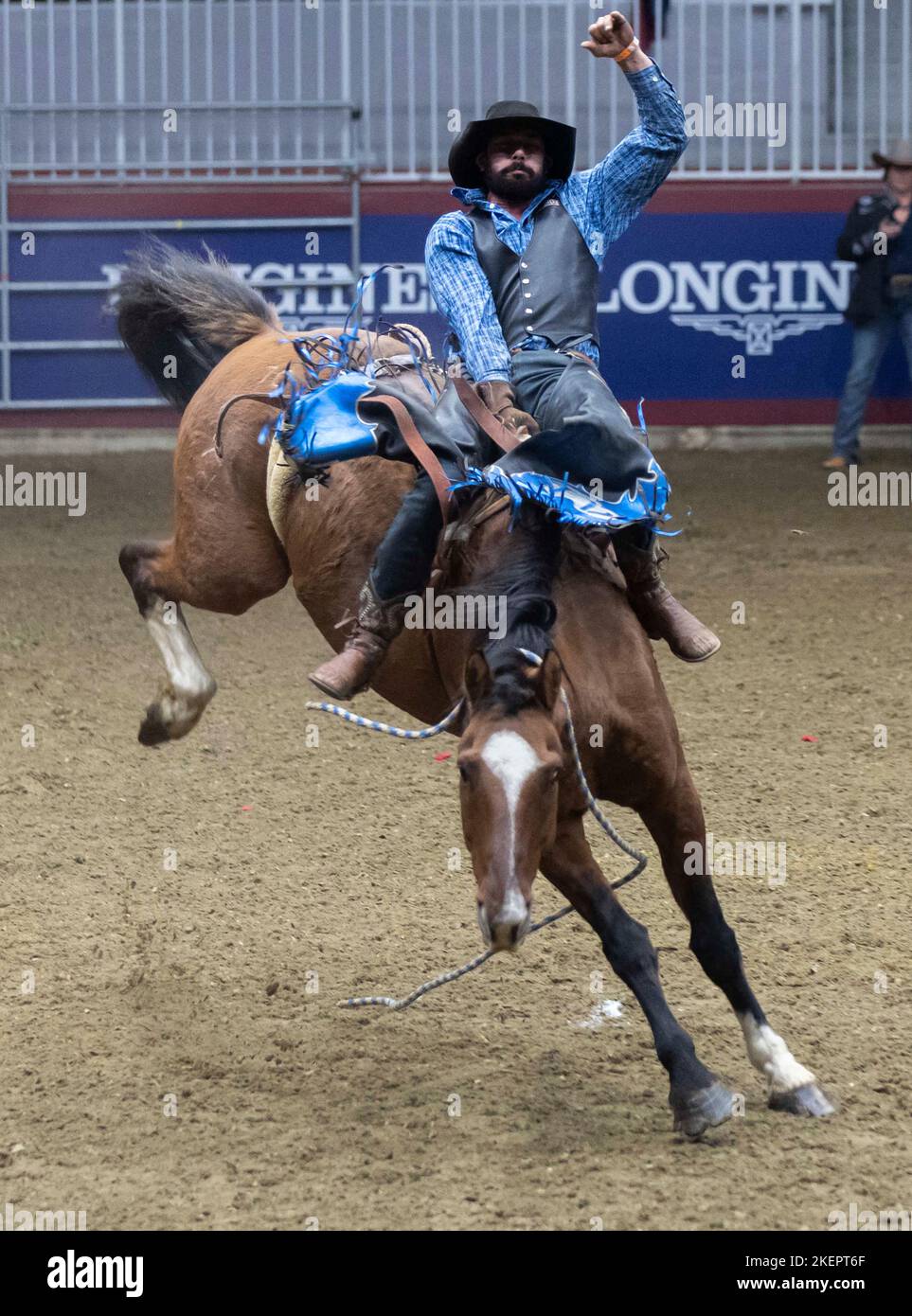 Toronto, Canada. 13th Nov, 2022. Cowboy Trevor Van Alstine competes ...
