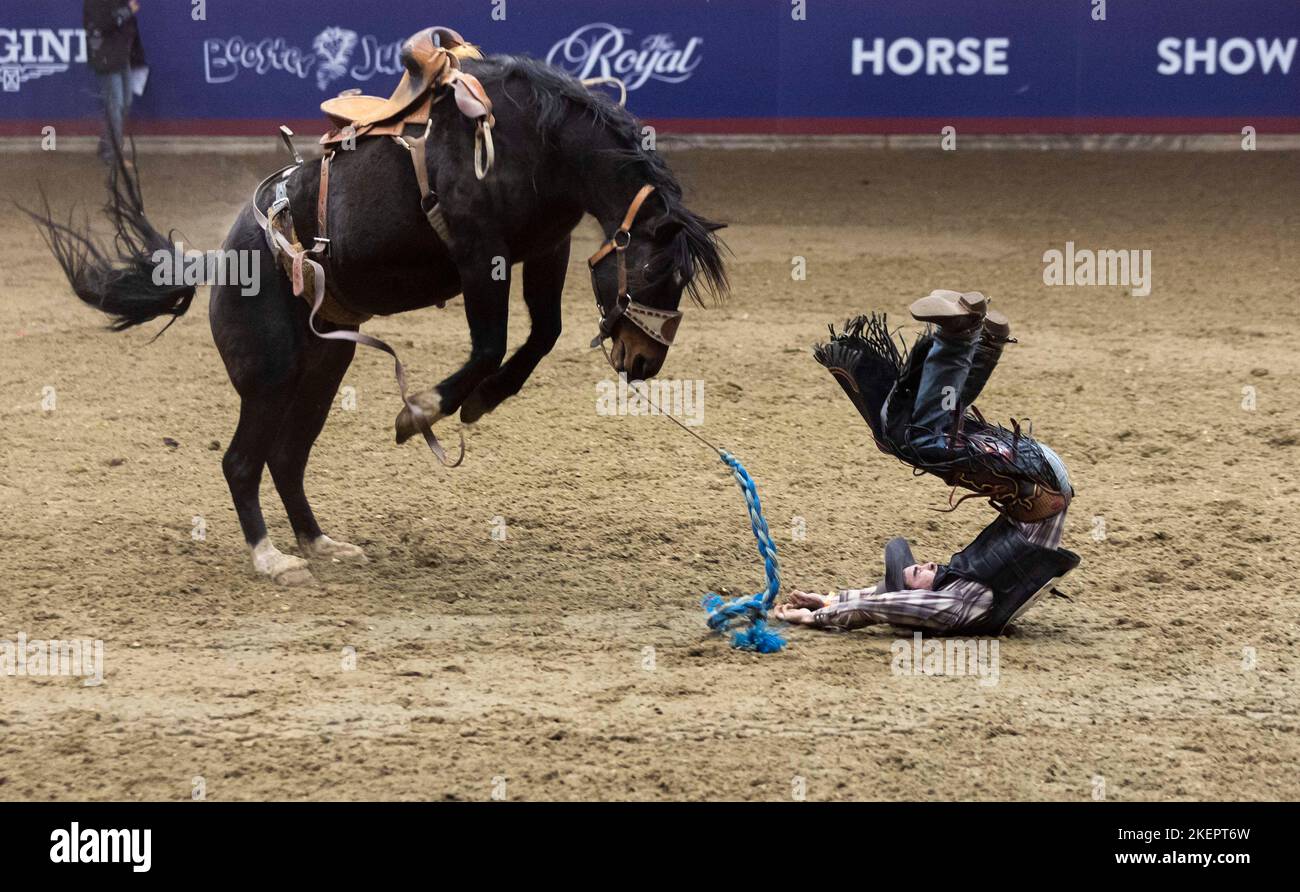 Toronto, Canada. 13th Nov, 2022. Cowboy Chad Garbiar Fort falls from ...