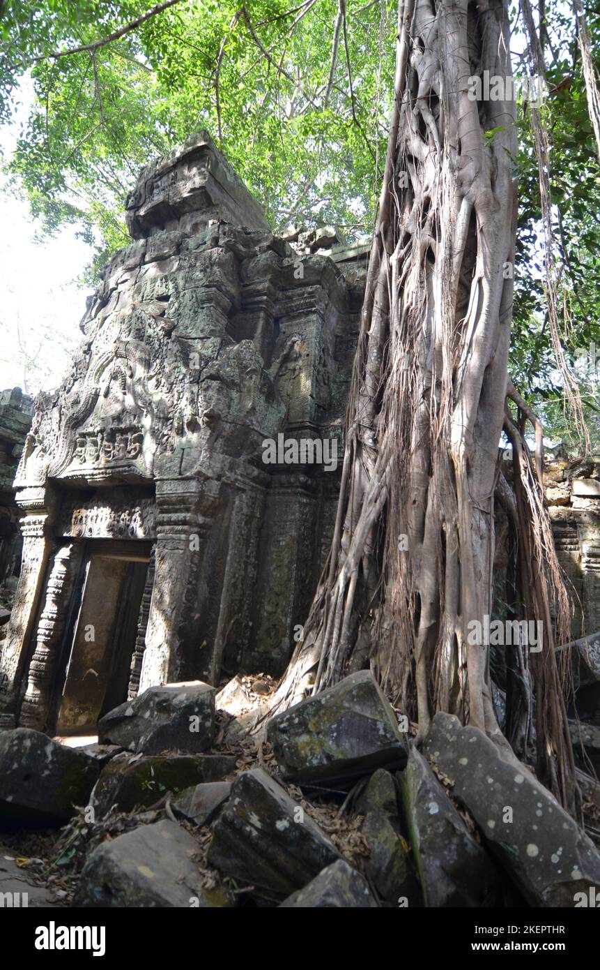 Angkor Wat Cambodia ruin historic khmer temple Tree Roots lost Culture ...