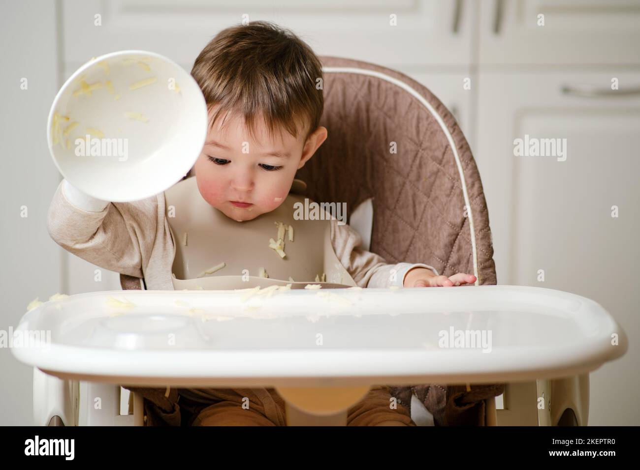 A funny child is eating sitting on a kitchen chair picked up the plate ...