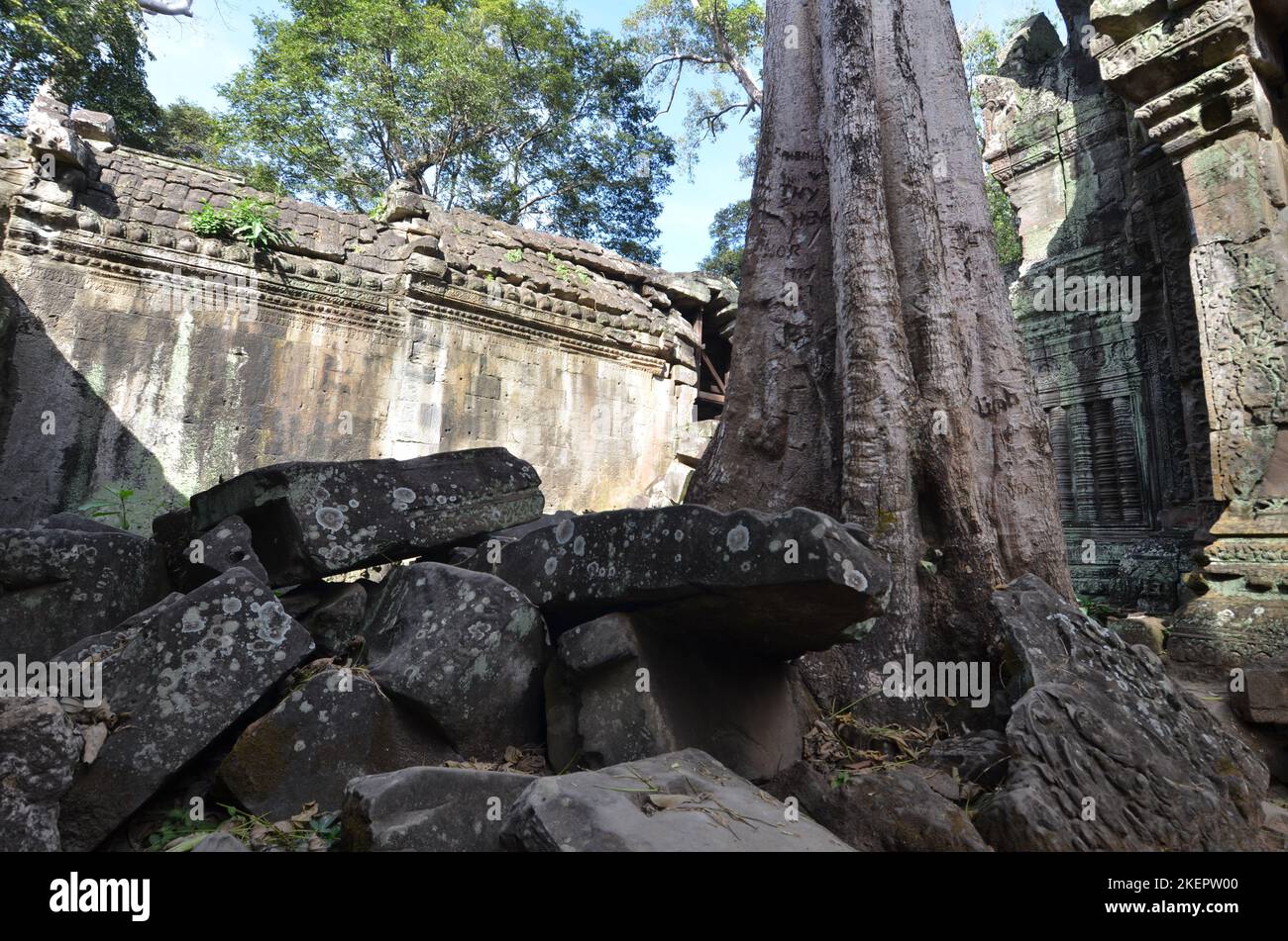 Angkor Wat Cambodia ruin historic khmer temple Tree Roots lost Culture ...