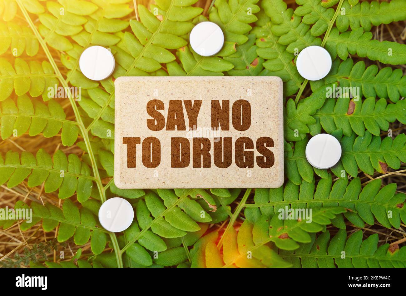 Medicine concept. On a green leaf of the plant are pills and a sign ...