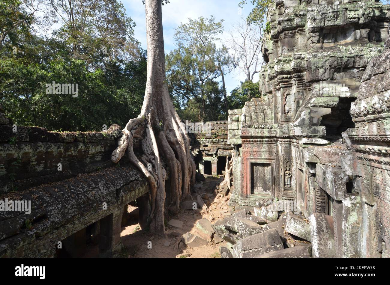 Angkor Wat Cambodia ruin historic khmer temple Tree Roots lost Culture ...