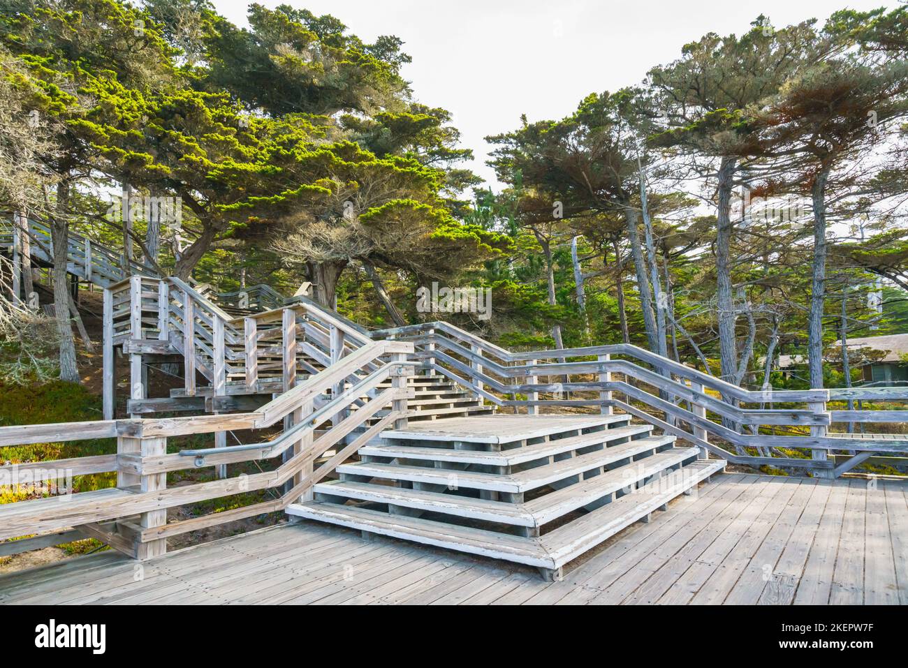 Wooden stairs leading to a scenic view point, Monterey Bay, California ...