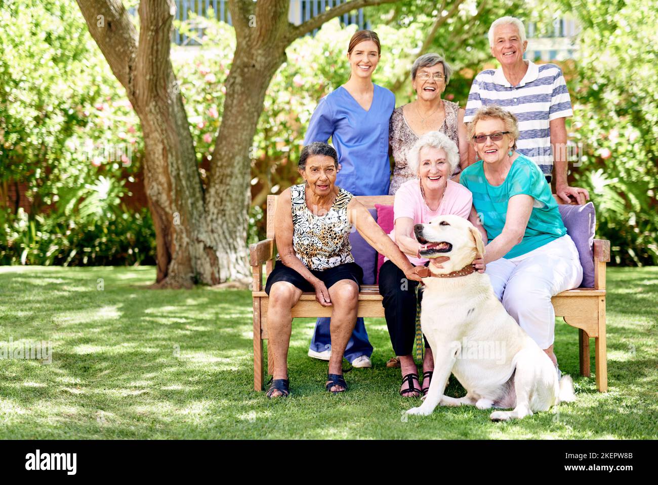 Senior happiness hi-res stock photography and images - Alamy