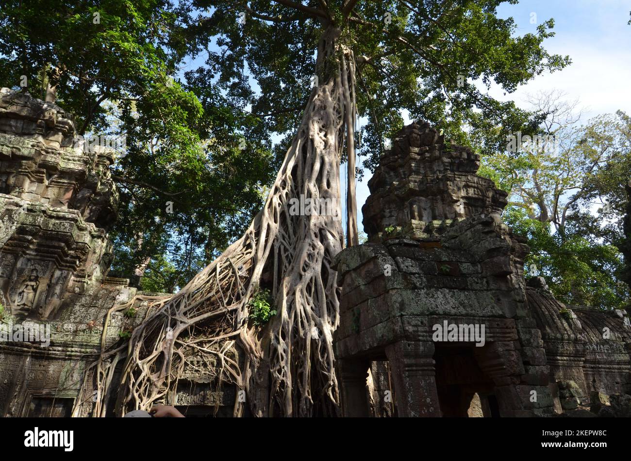 Angkor Wat Cambodia ruin historic khmer temple Tree Roots lost Culture ...