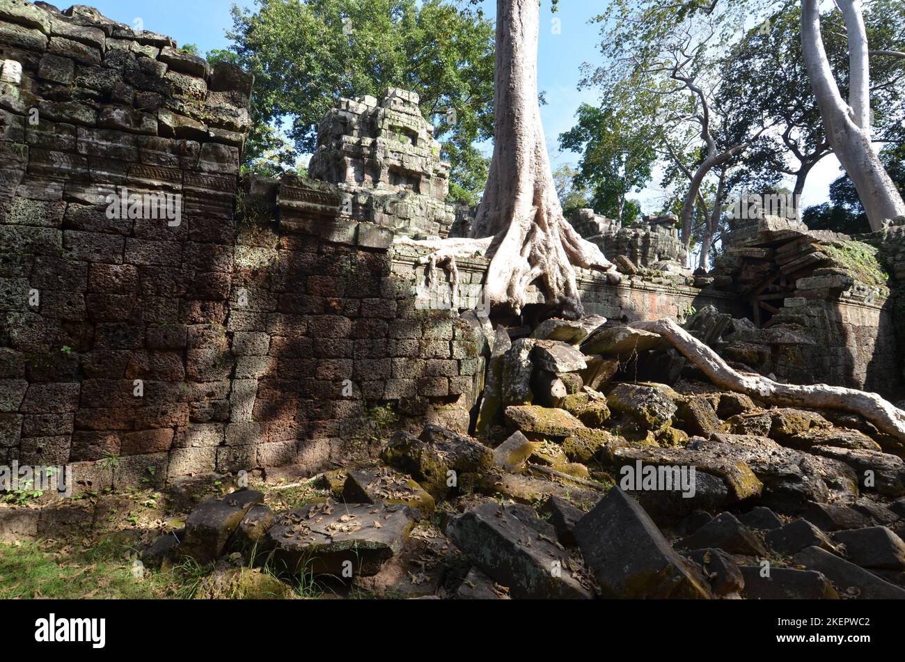 Angkor Wat Cambodia ruin historic khmer temple Tree Roots lost Culture ...