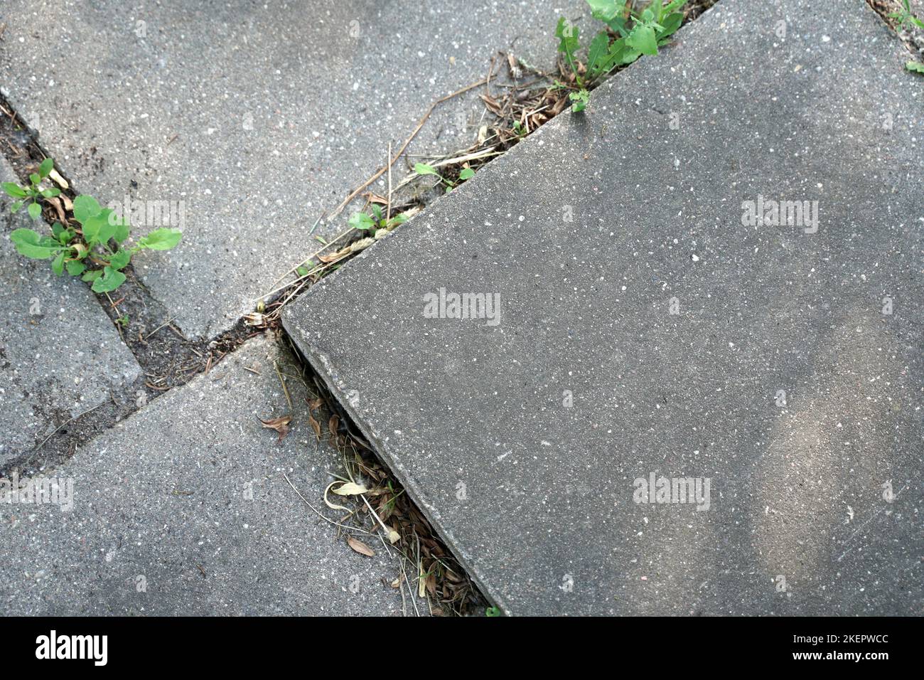 Texture. Gray paving slabs and grass on the footpath Stock Photo - Alamy