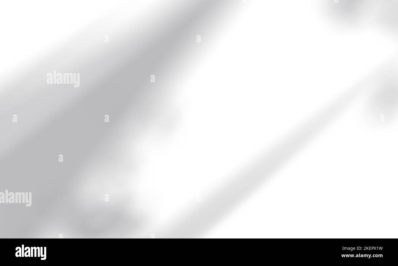 Abstract shadows on white. Natural shadow overlay on white background ...