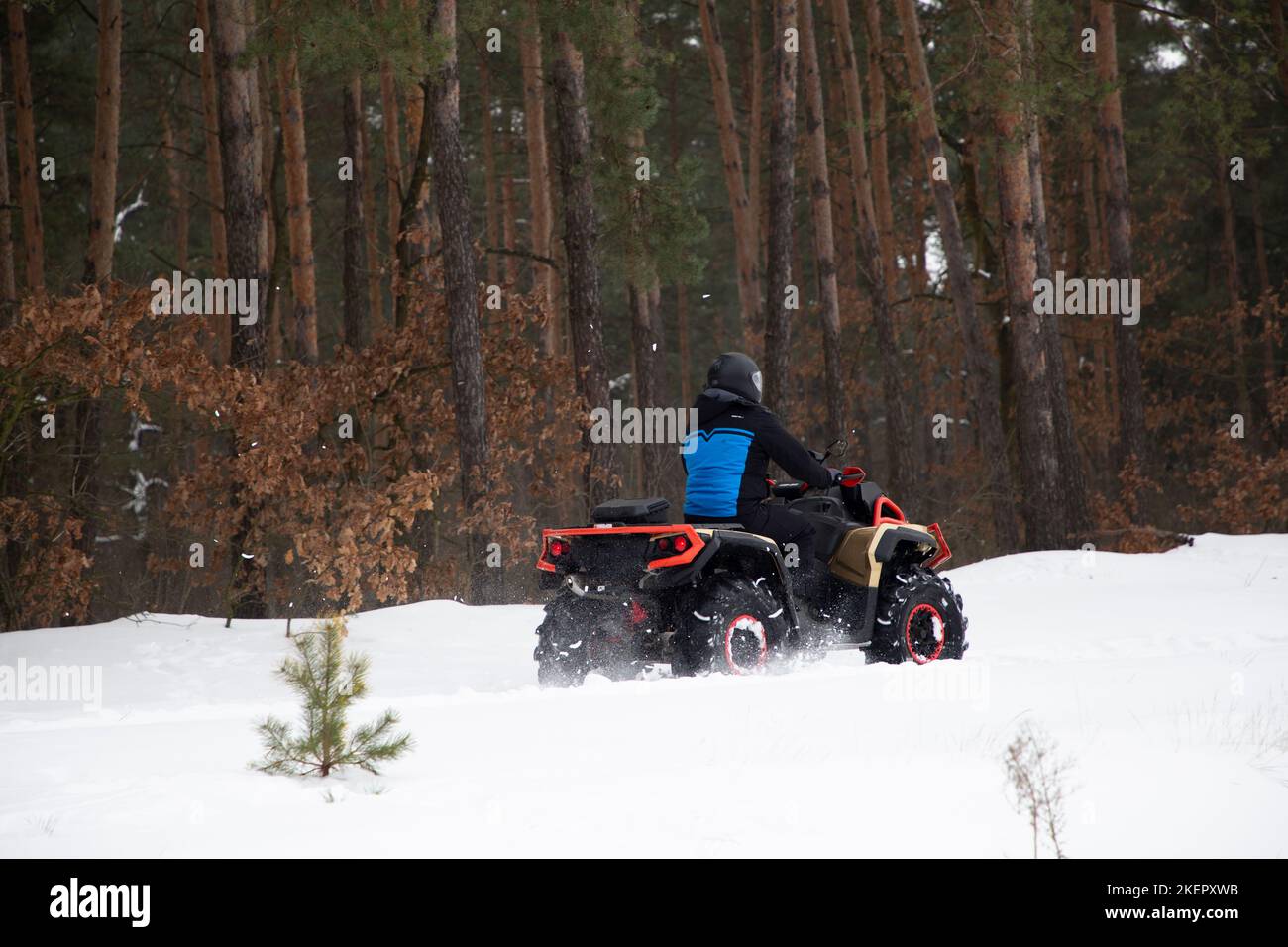 unrecognizable man rides a quad bike off-road in a snowy forest. Active ...