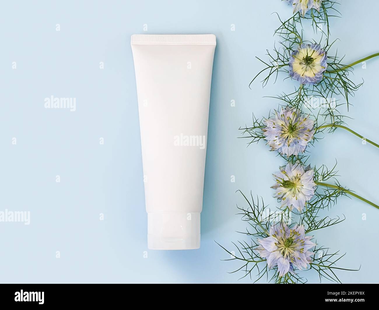 Unbranded white squeeze bottle cosmetic cream tube and line frame ...