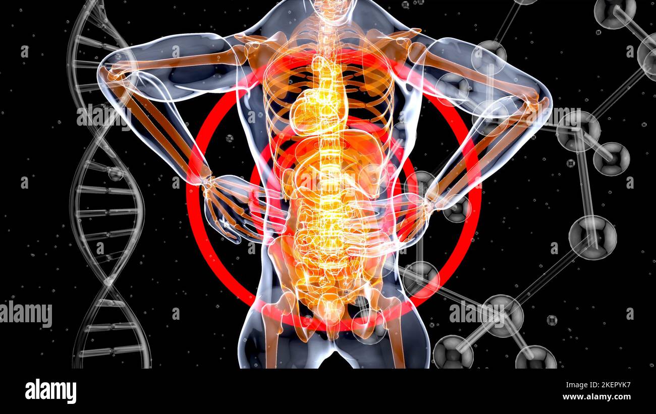 Abstract motion design of backpain and kidneys Stock Photo - Alamy