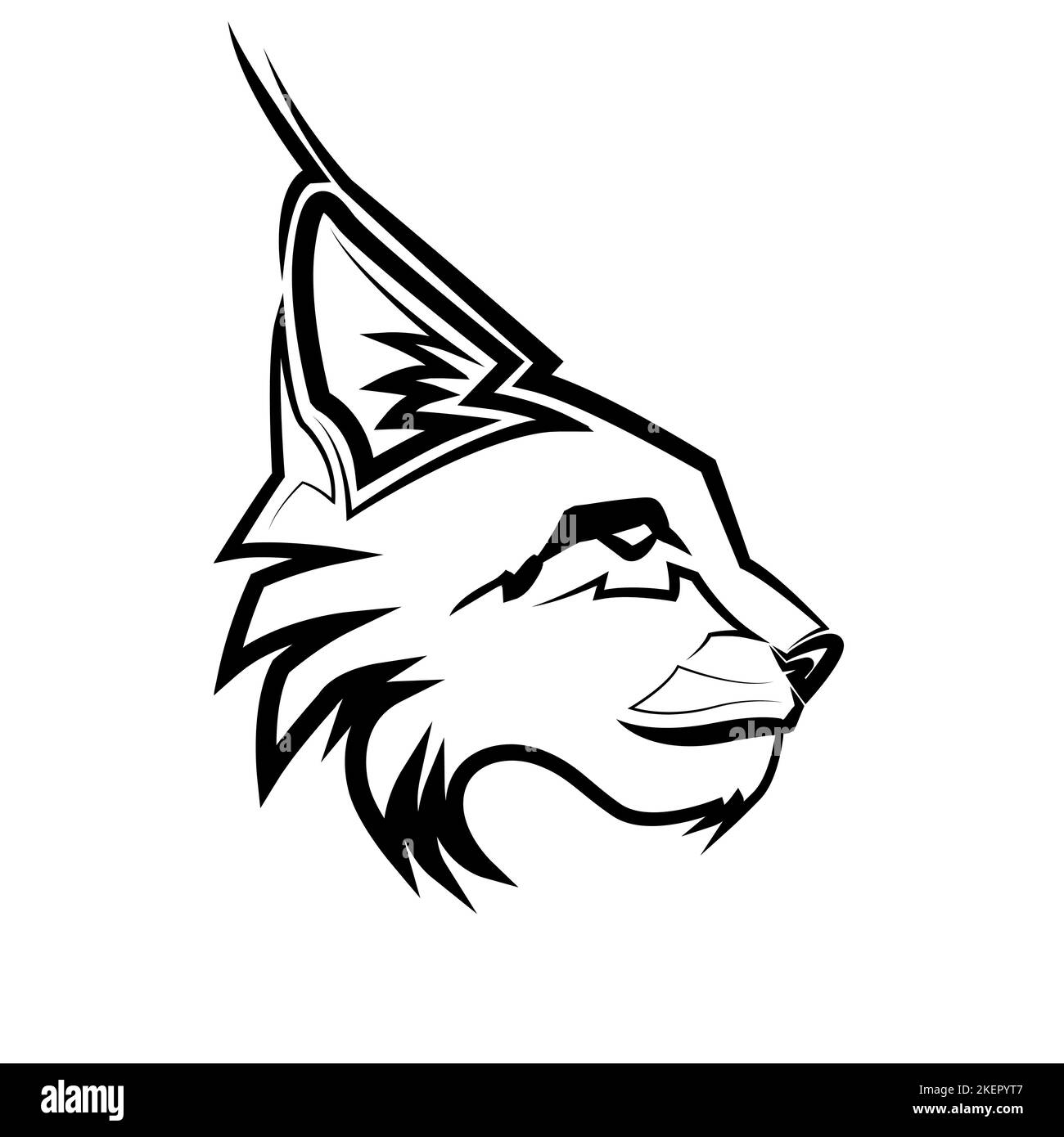 Black and white line art of wildcat head Stock Vector Image & Art - Alamy
