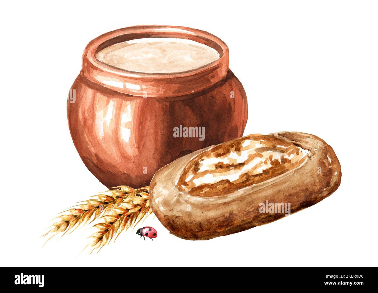 Ryazhenka or sour milk in the pot and fresh bread, Hand drawn ...