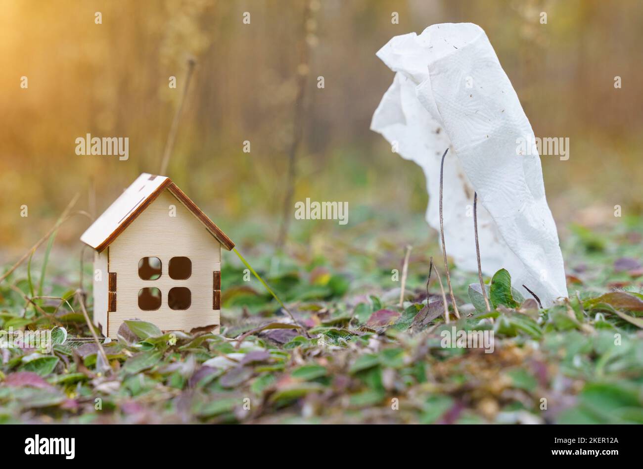 Ecology concept. There is a small wooden house on the grass, next to ...